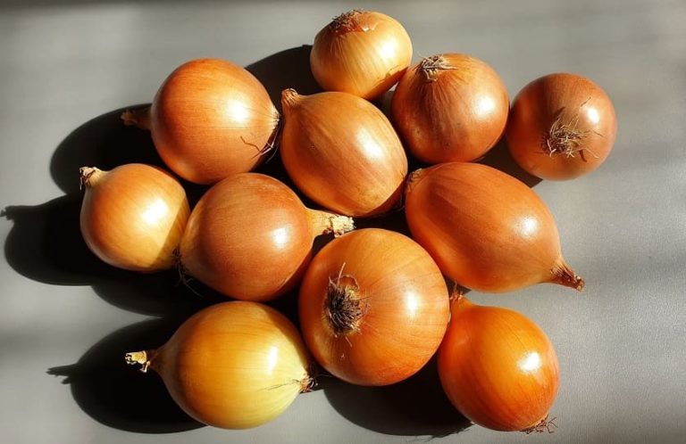 4 maneras de utilizar cebolla para el pelo: ¿funciona?