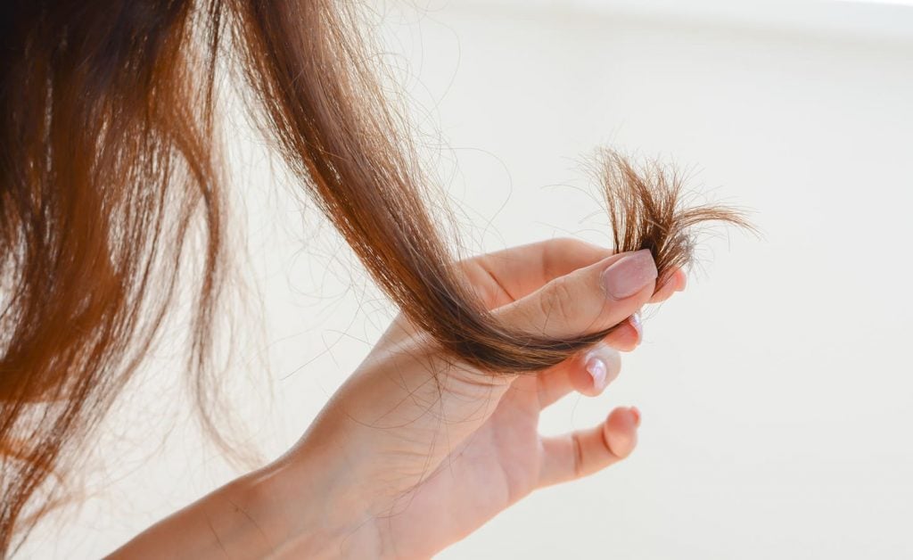 Trichorrhexis nodosa – Ursachen, Symptome & Behandlung